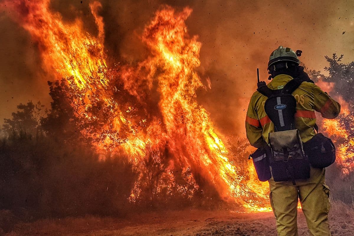 World's most dangerous jobs: A dive into high-risk occupations ...