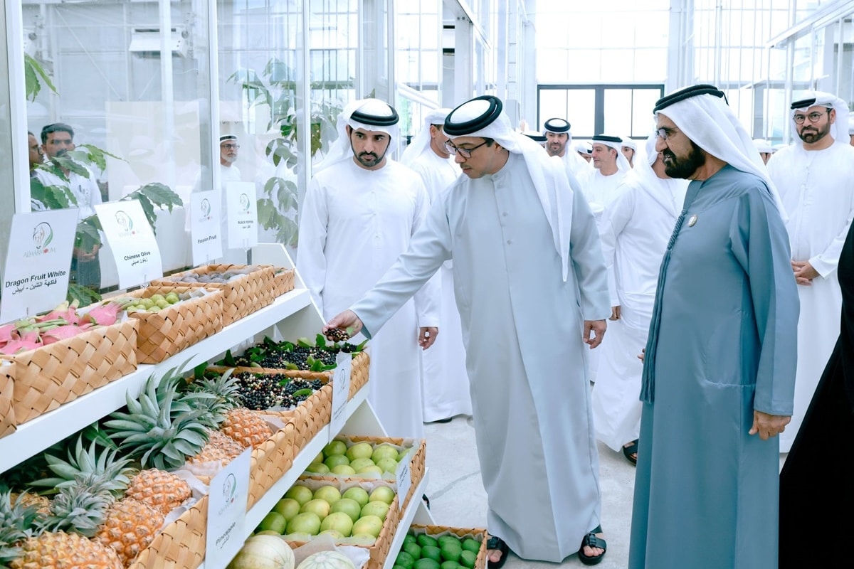 UAE announces major agriculture programme as it looks to grow number of ...