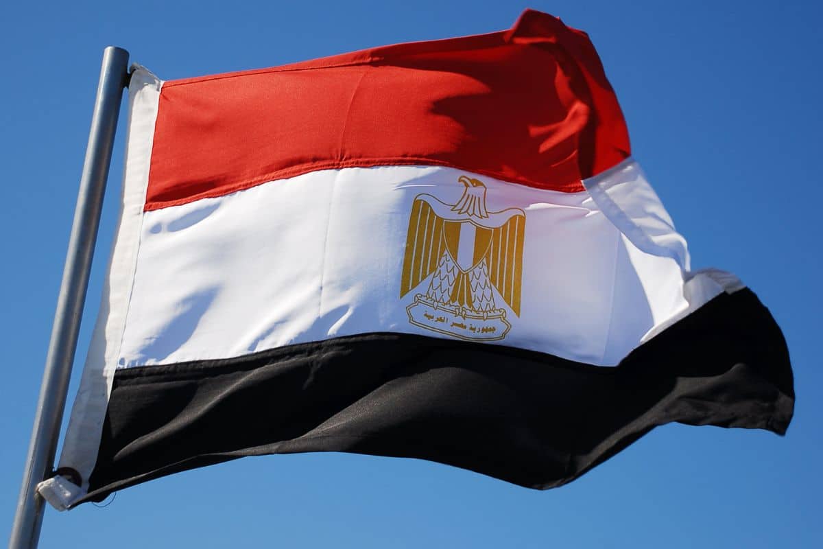 Egypt to sell stakes in 10 state-backed firms in 2025 - Arabian ...